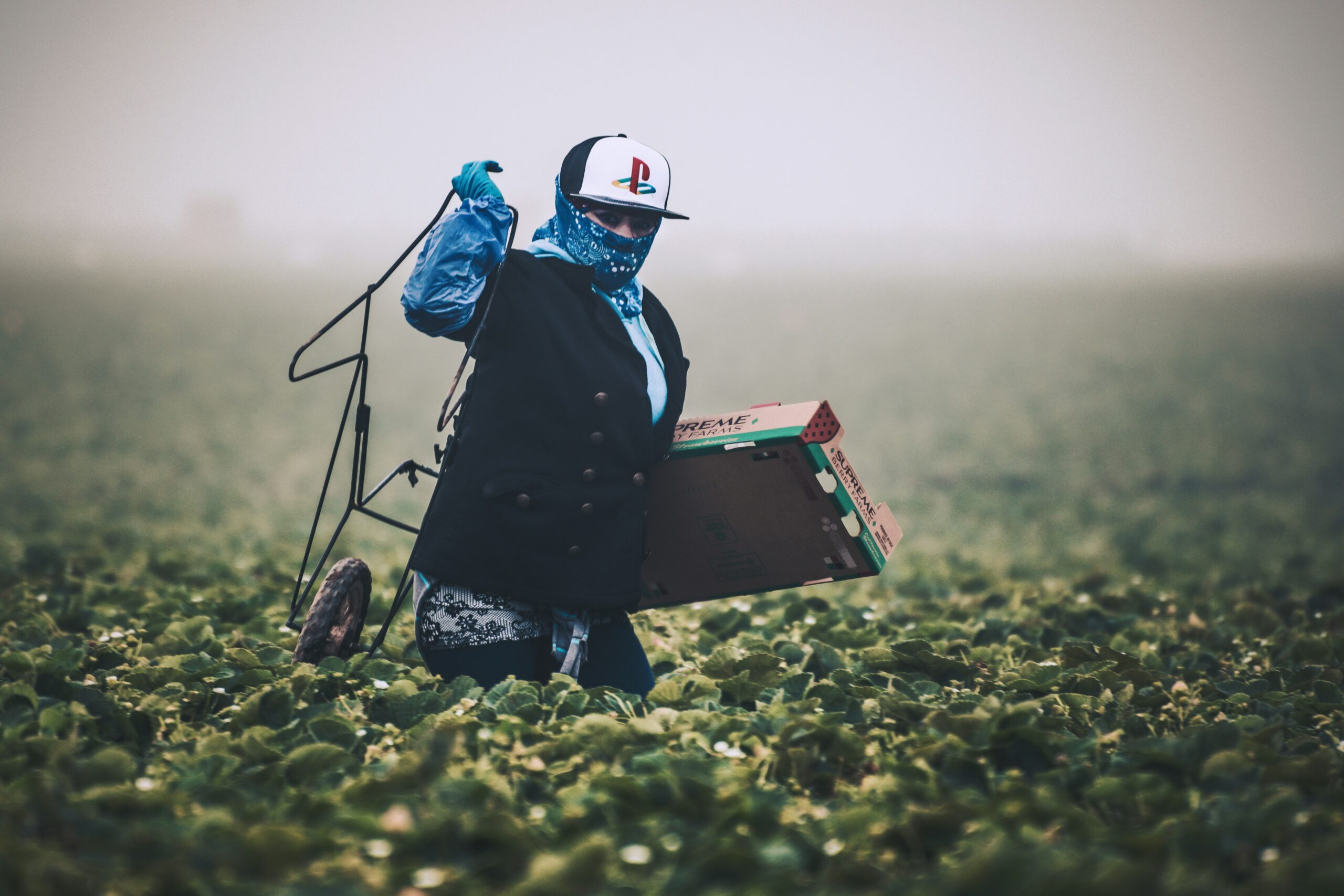 Good Enough to Work, Good Enough to Stay: Fixing Canada's Immigration ...