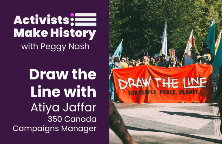Activists Make History: Draw the Line with Atiya Jaffar | Perspectives ...
